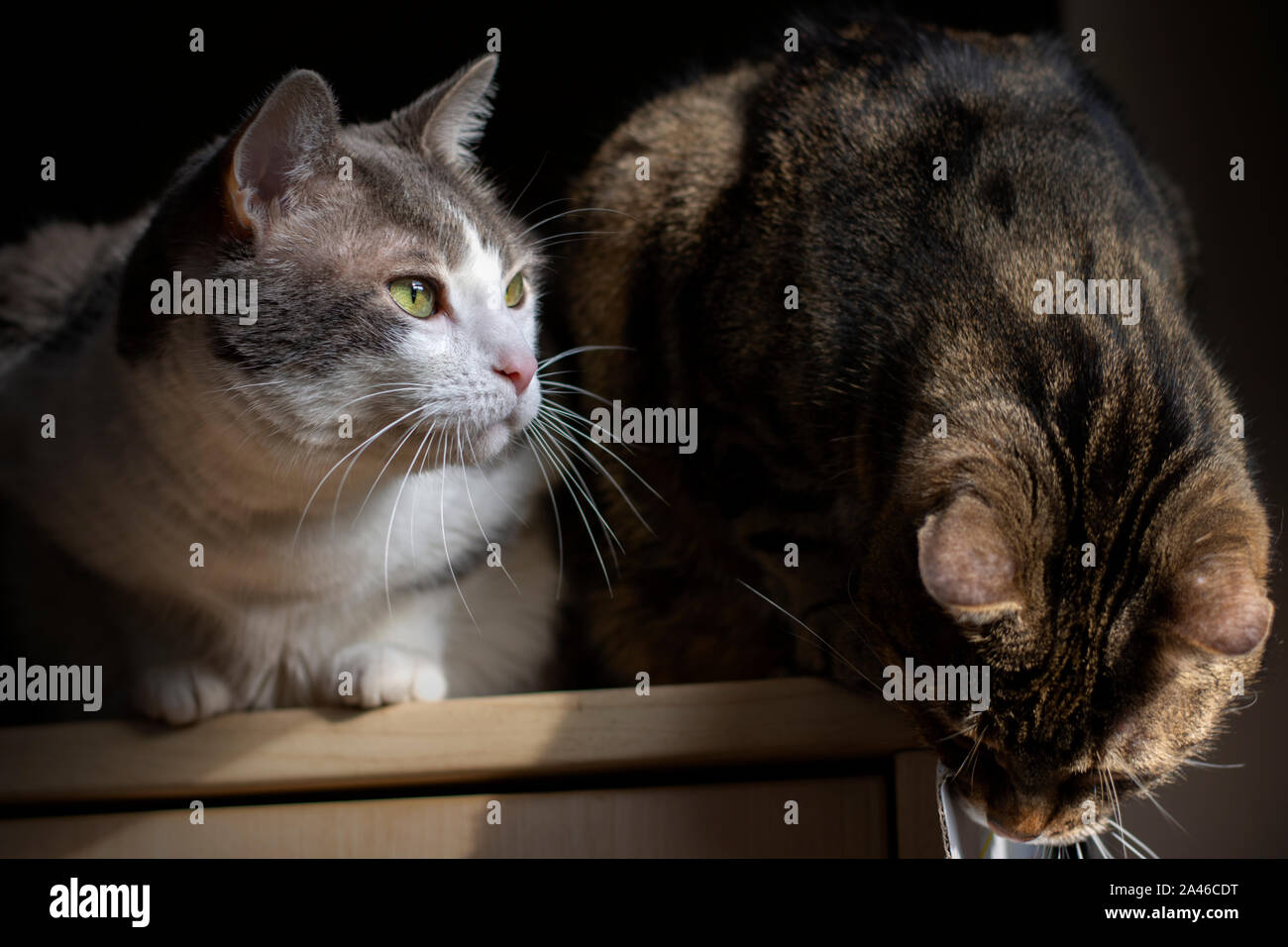 Love sleeping hi-res stock photography and images - Alamy