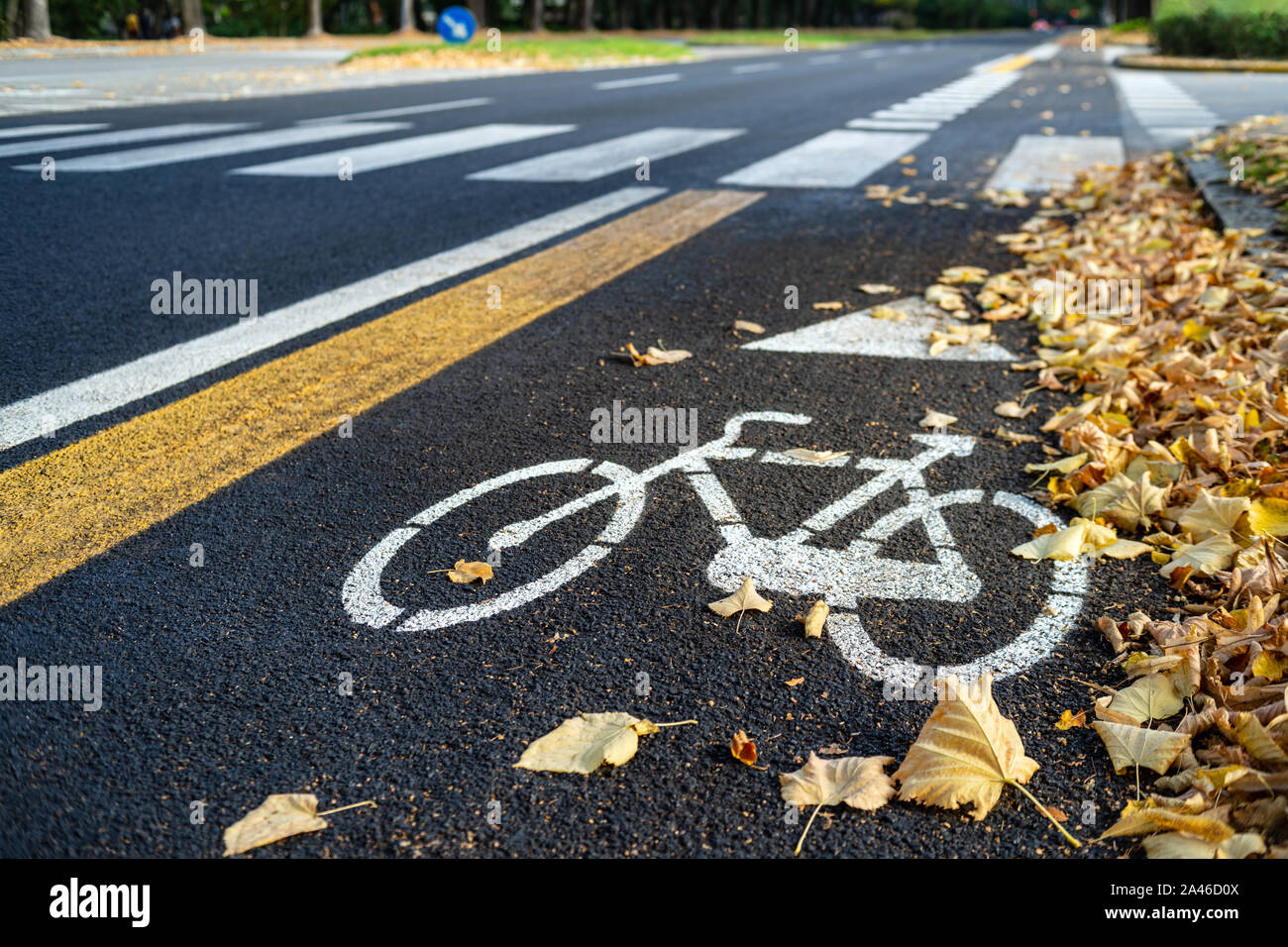 Bike path on the side of the city road in autumn Stock Photo - Alamy