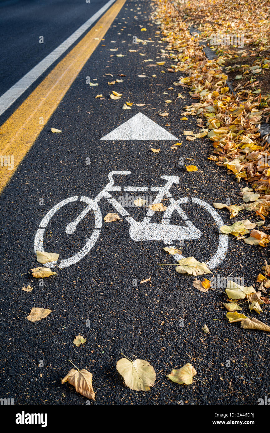 Marked cycle path hi-res stock photography and images - Alamy