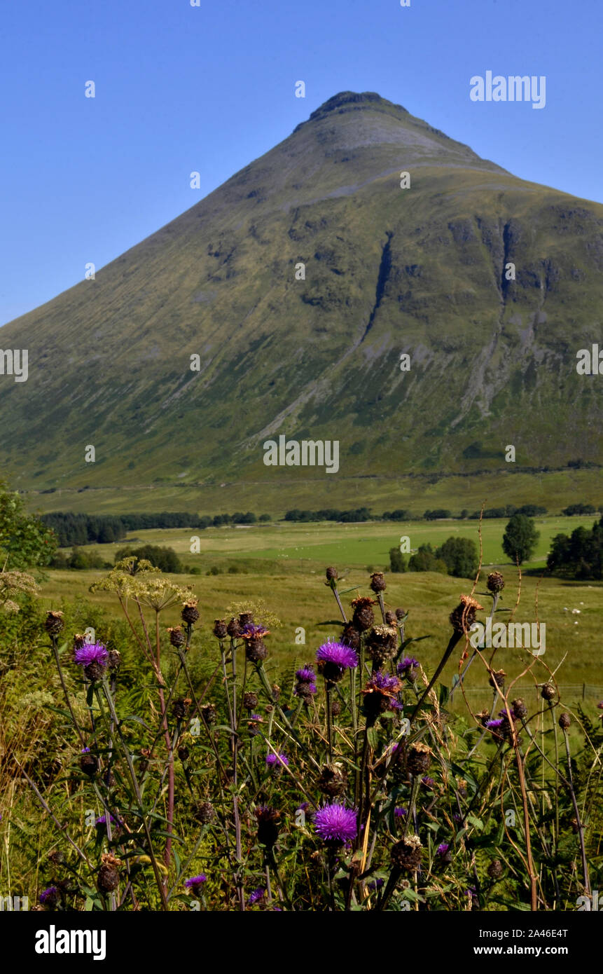 Summer landscape of the peak of Beinn an Dothaidh in the Scottish ...