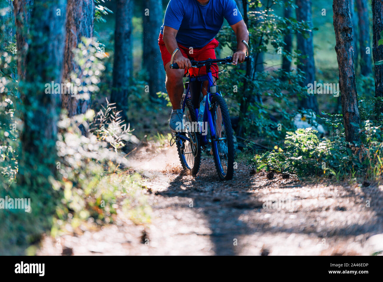 Older overweight man rides a mountain bike through the woods using extreme effort Stock Photo ...