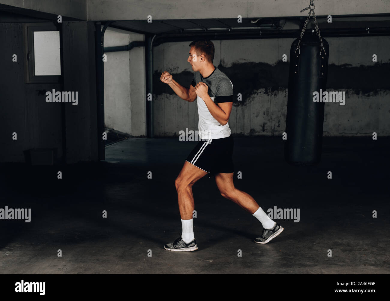 Portrait of young male practicing boxing against dark background. Boxer ...