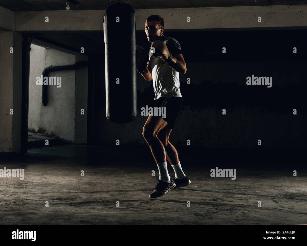 Portrait of determined professional boxer, getting ready for fight ...