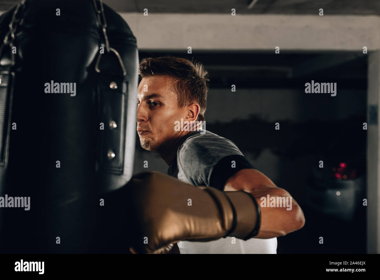 Sportive male punching a bag with boxing gloves at the gym. Concept ...
