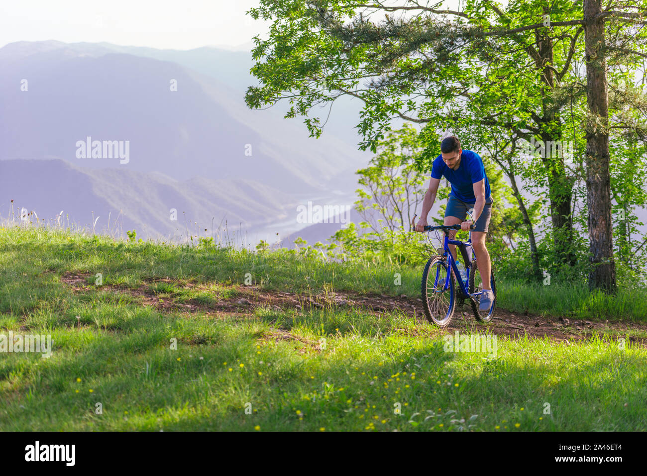 Adventurous mountain biker riding his bike fast through the woods ...