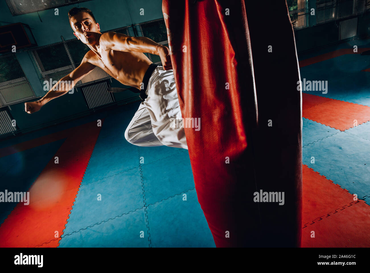 Full length of a shirtless muscular boxer with punching bag in gym ...