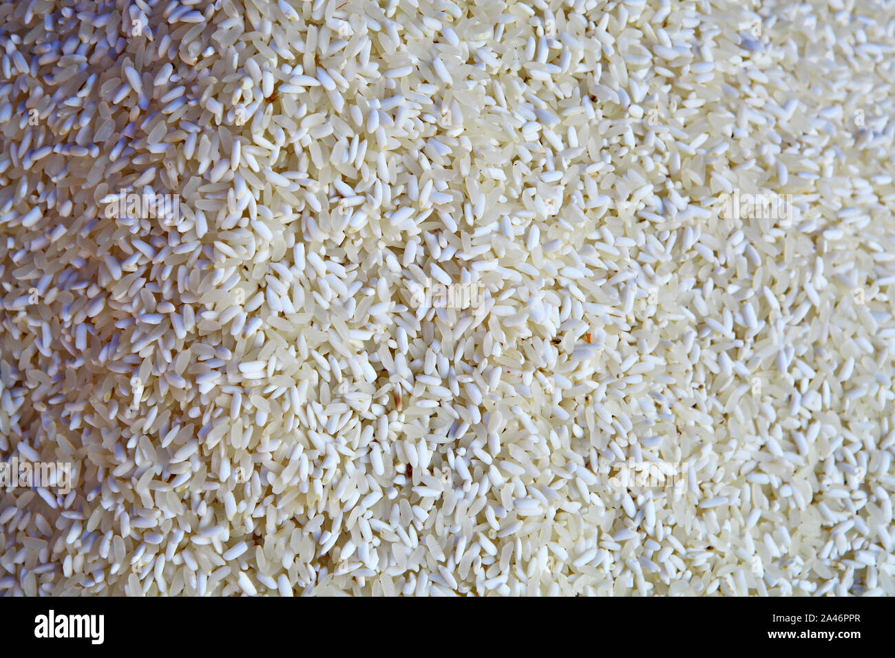 White sticky rice or long-grain glutinous rice from Thailand Stock ...