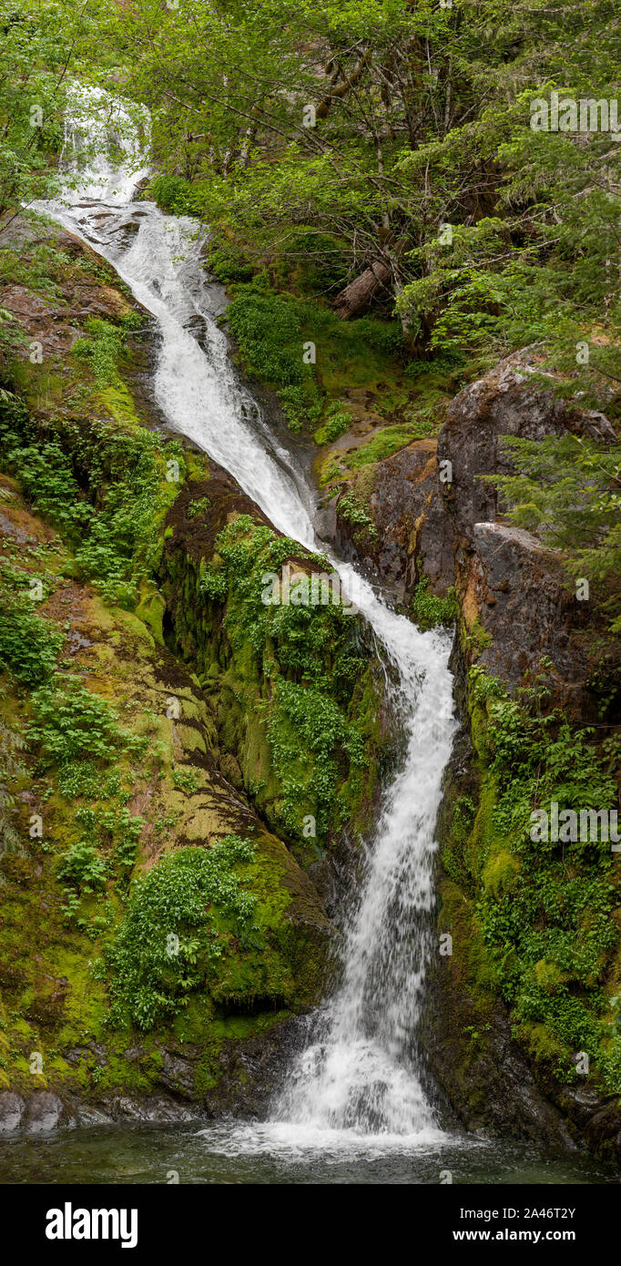 Santiam recreation area hi-res stock photography and images - Alamy