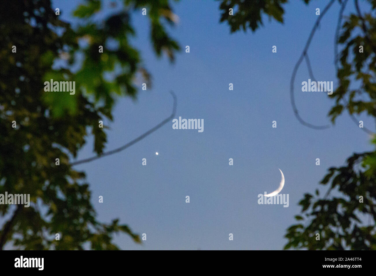 Moon and Venus Stock Photo - Alamy
