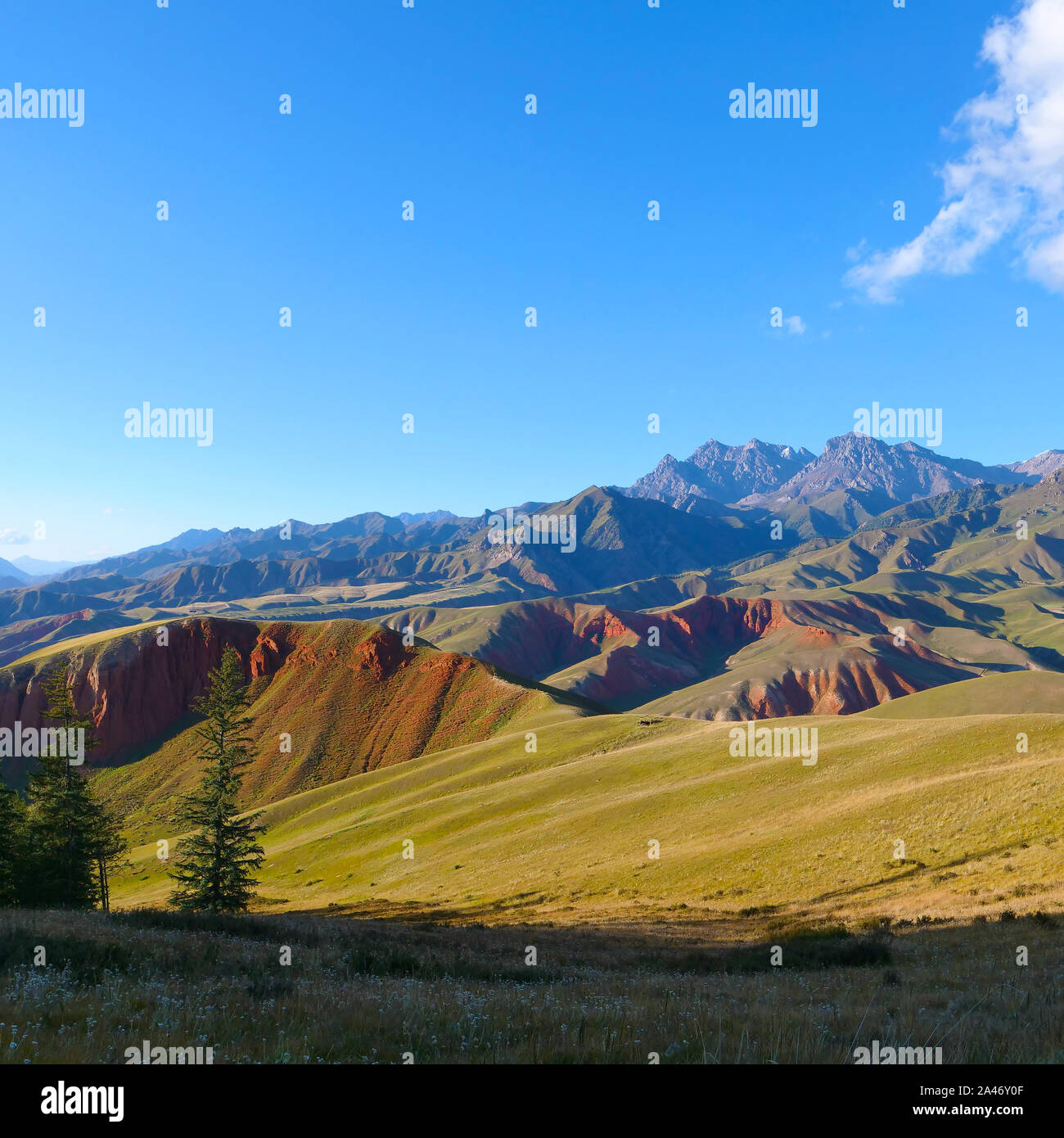 Beautiful nature landscape veiw of The Qilian Mountain Scenic Area ...