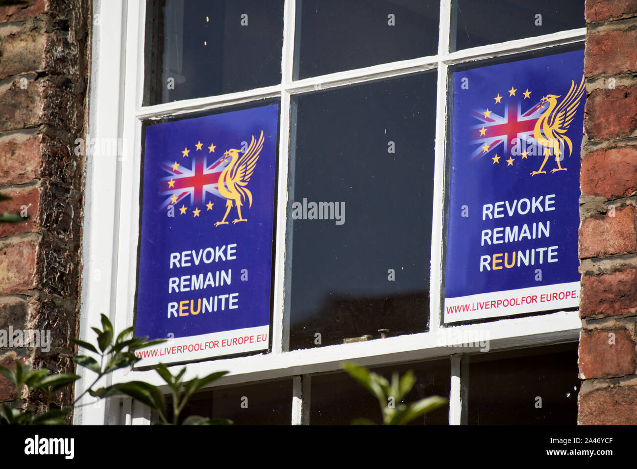 anti brexit posters in the window of a house in Liverpool England UK ...