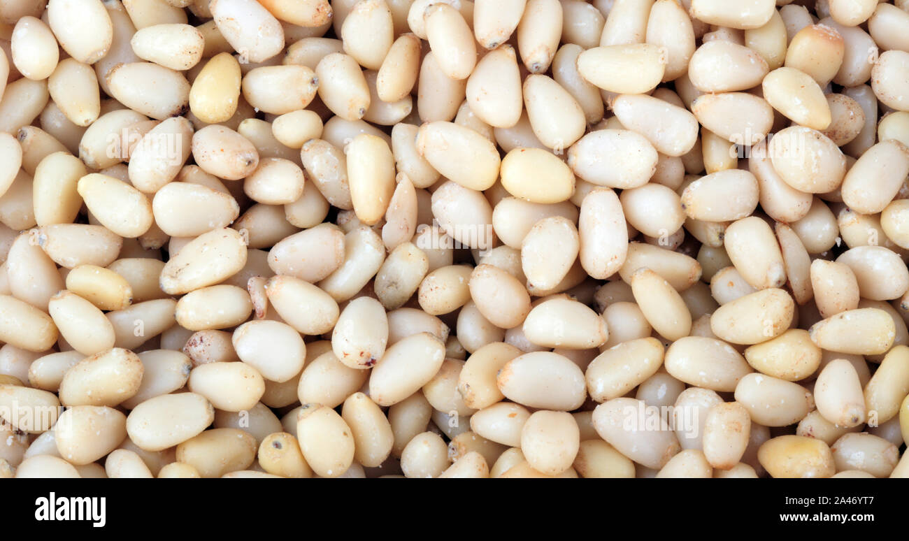 many cedar nut at day Stock Photo - Alamy