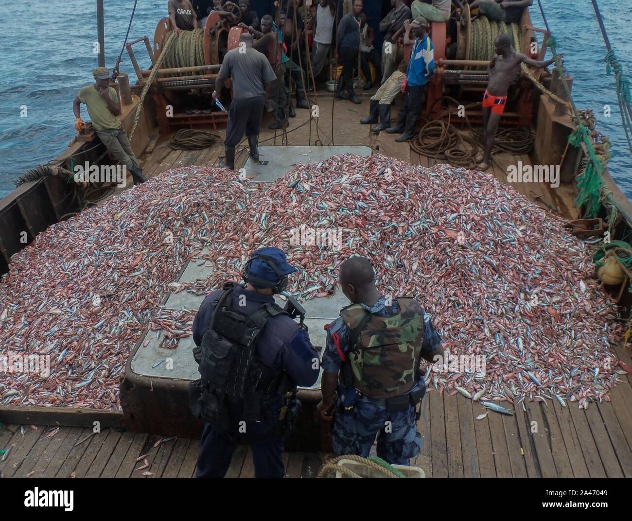 Reference check hi-res stock photography and images - Alamy