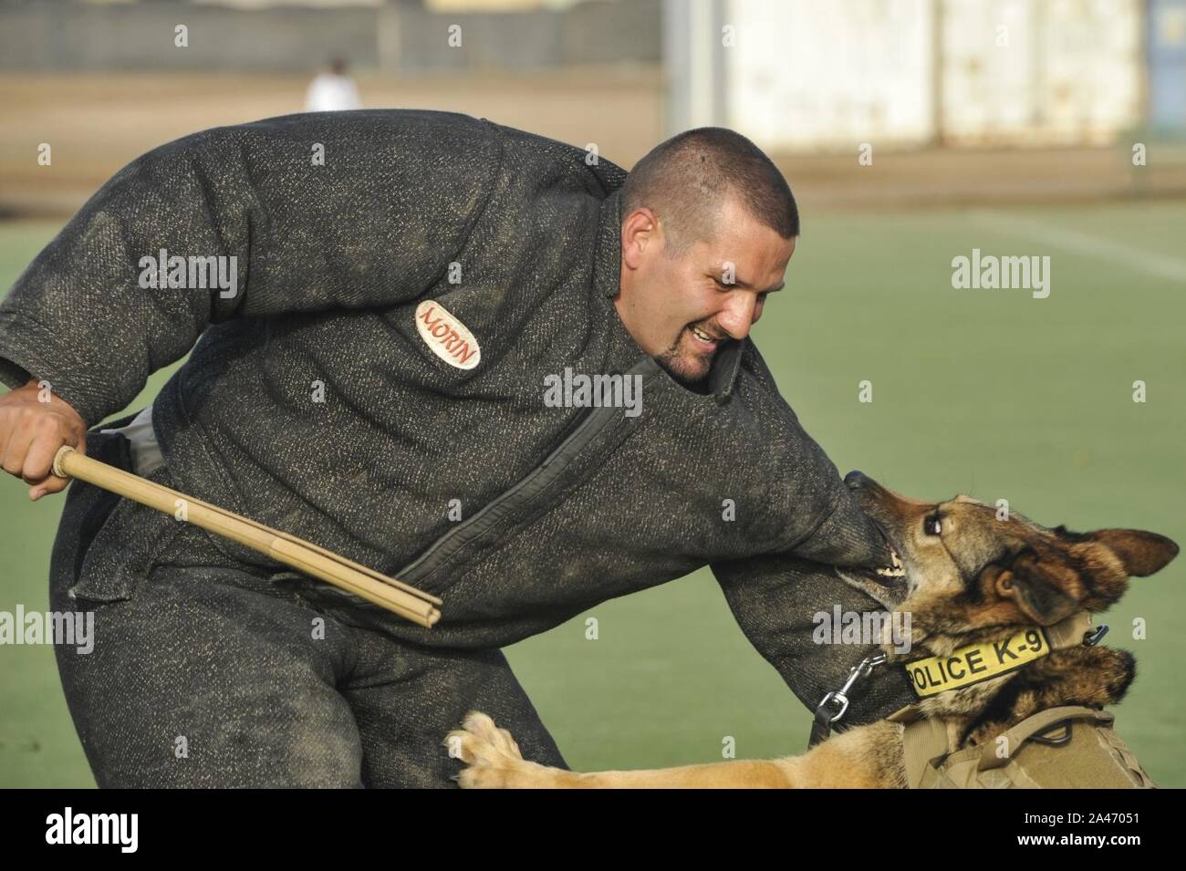 Fur flying hi-res stock photography and images - Alamy