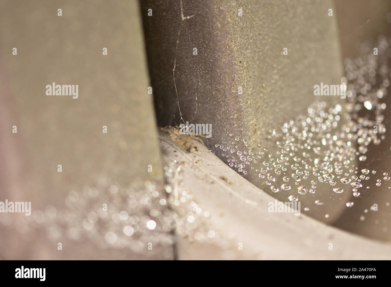 Water Droplets On A Web Stock Photo - Alamy