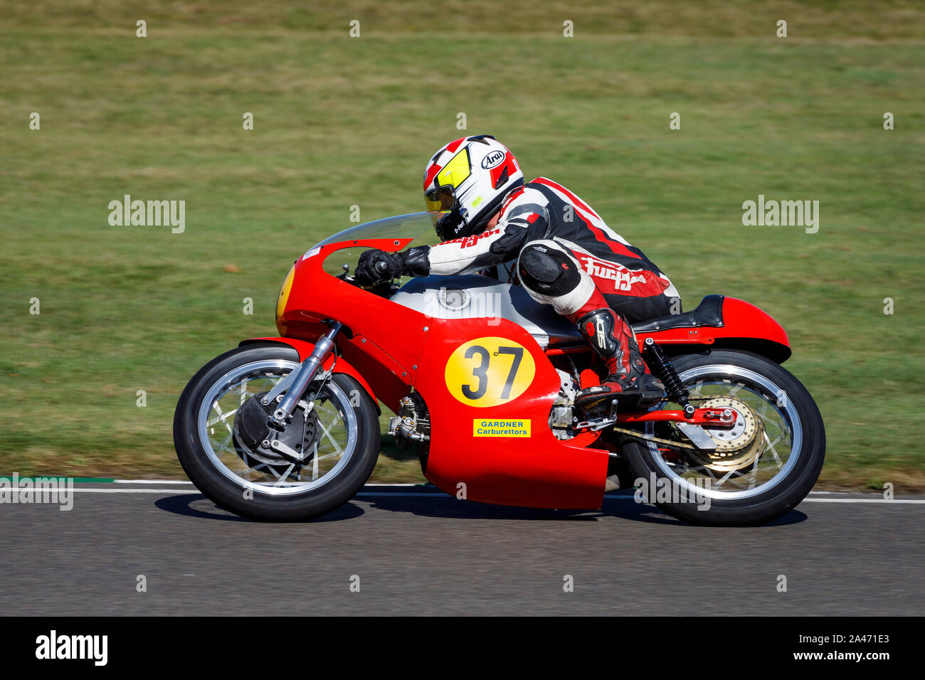 Aermacchi ala doro 408 hi-res stock photography and images - Alamy