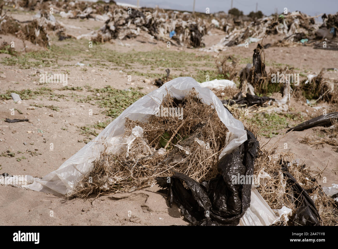 Garbage pile in nature among plants. Toxic plastic into nature ...