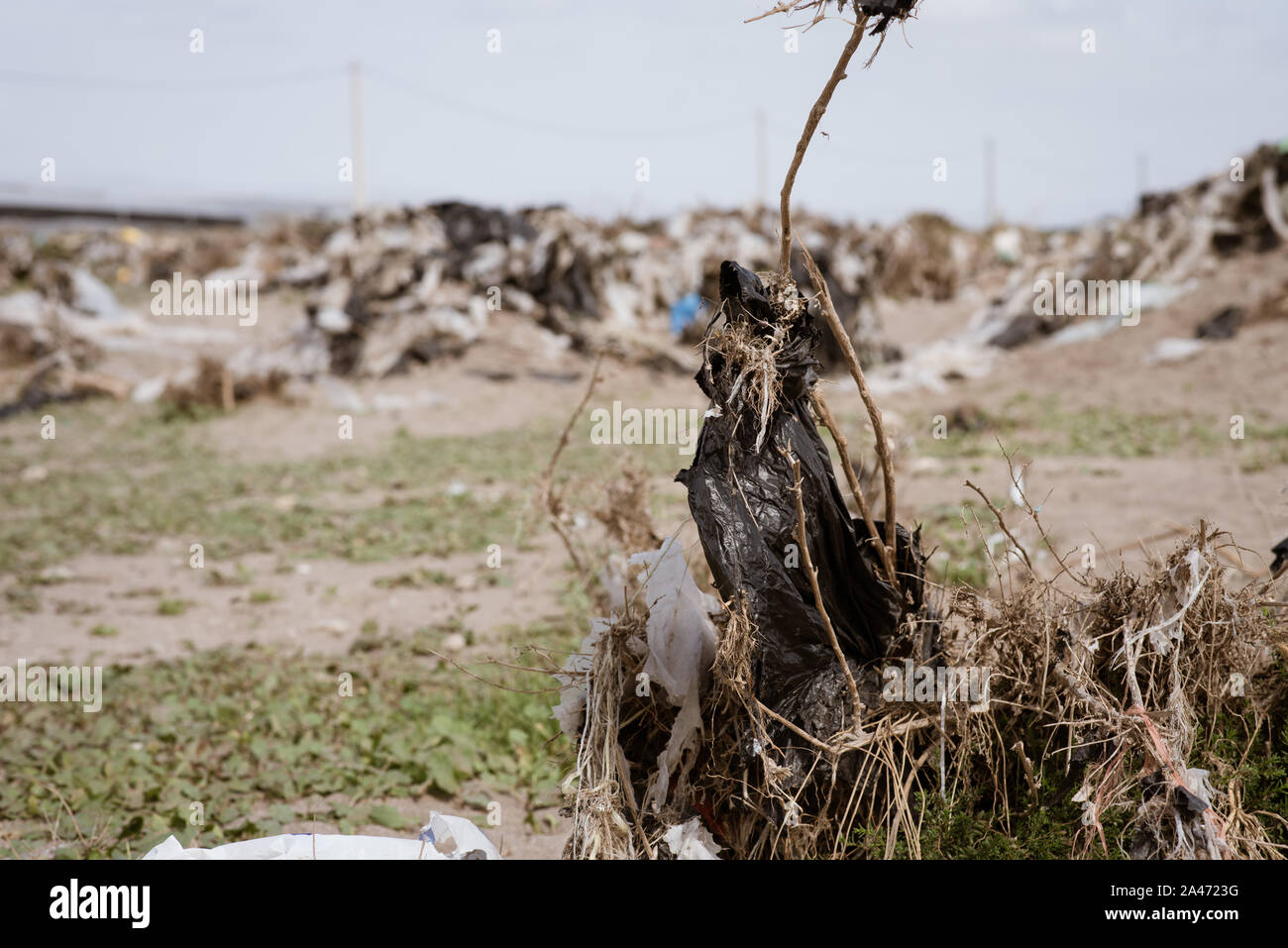 Garbage pile in nature among plants. Toxic plastic into nature ...