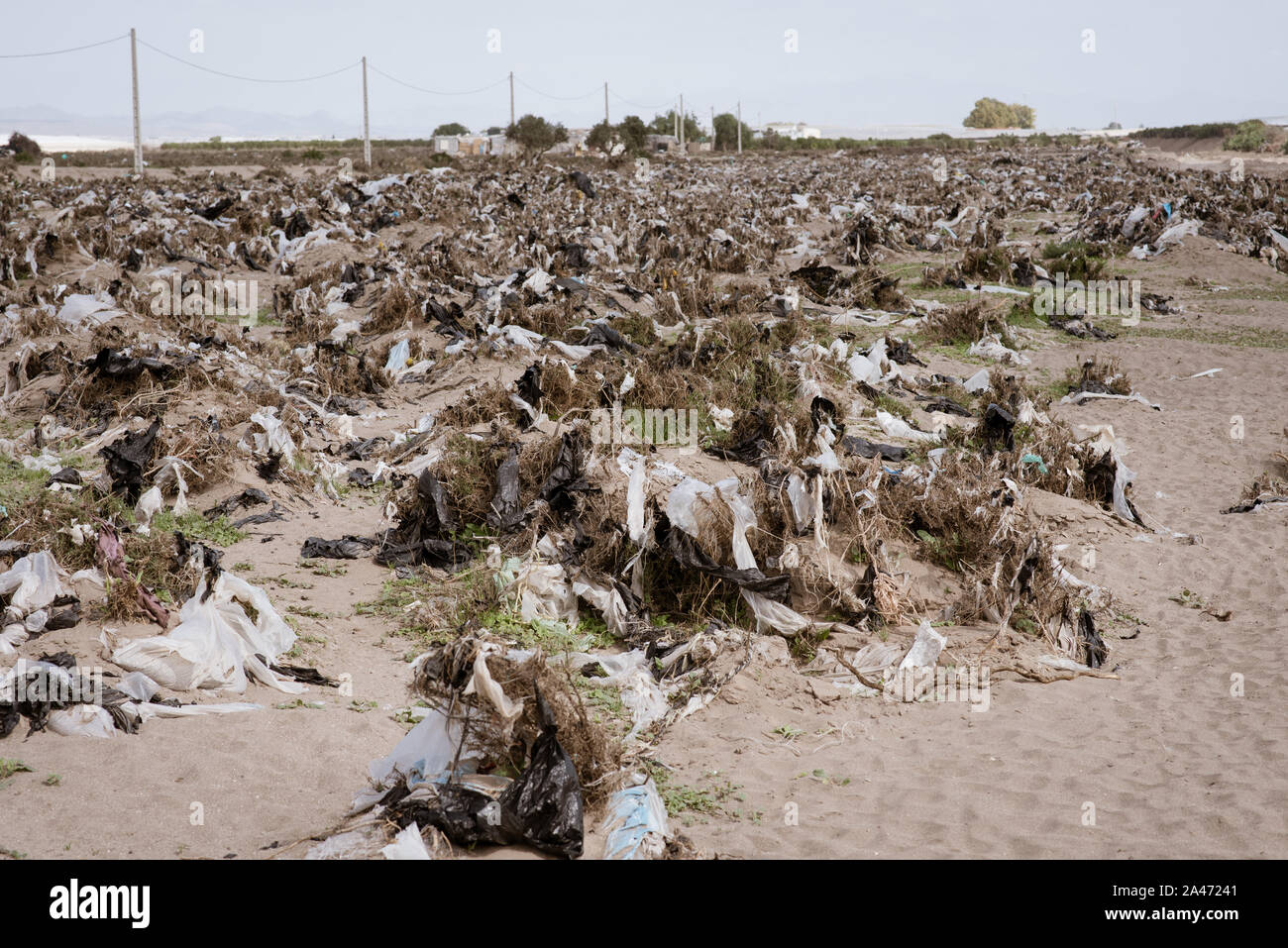 Garbage pile in nature among plants. Toxic plastic into nature ...