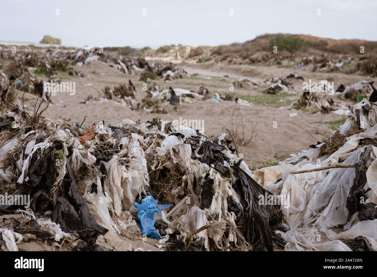 Garbage pile in nature among plants. Toxic plastic into nature ...