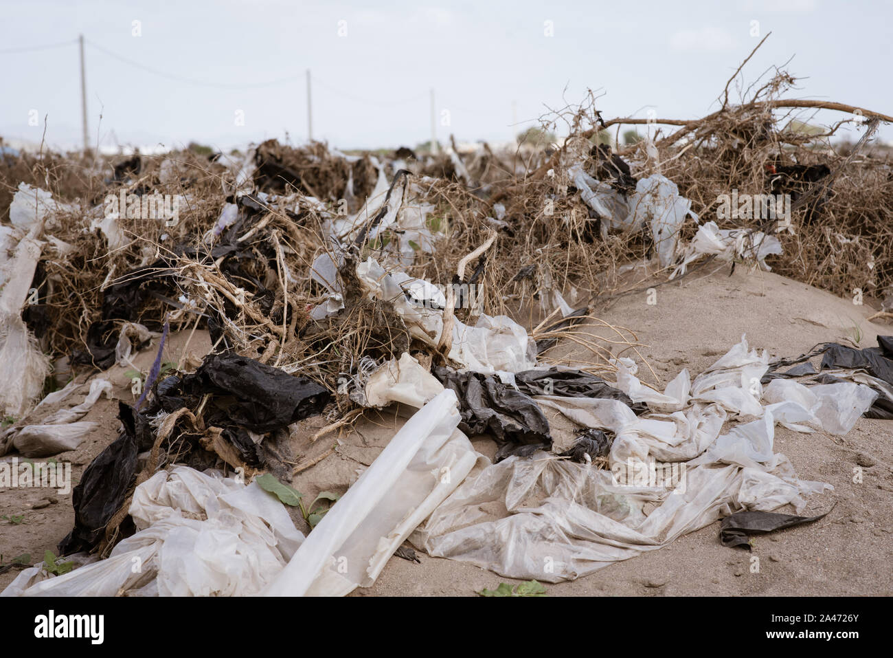 Garbage pile in nature among plants. Toxic plastic into nature ...