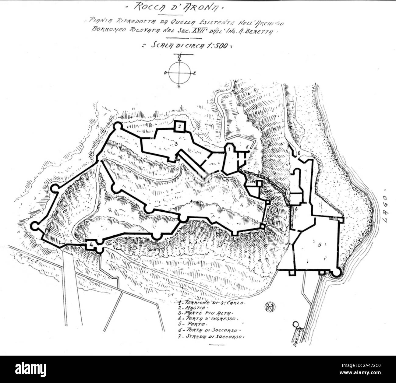 Sulla pianta hi-res stock photography and images - Alamy