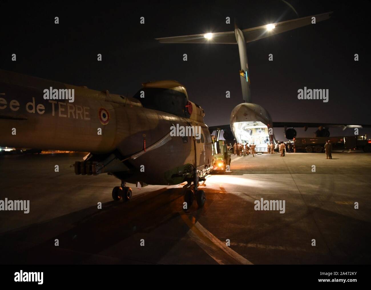 French puma hi-res stock photography and images - Alamy