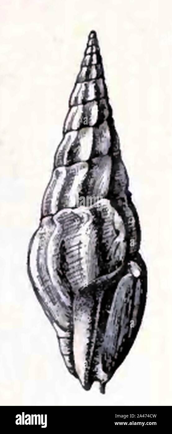 Moseri hi-res stock photography and images - Alamy