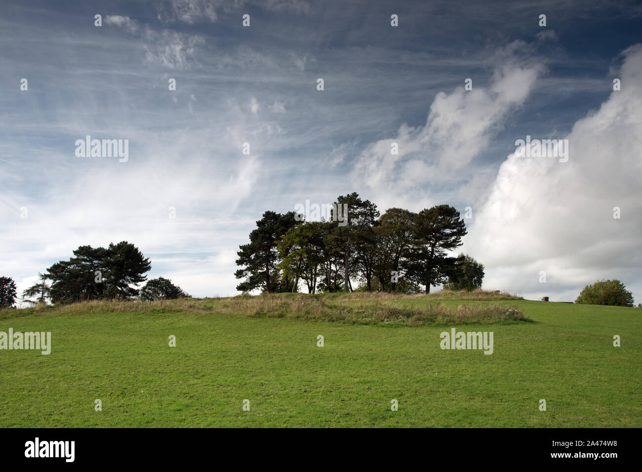 Hill top copse hi-res stock photography and images - Alamy