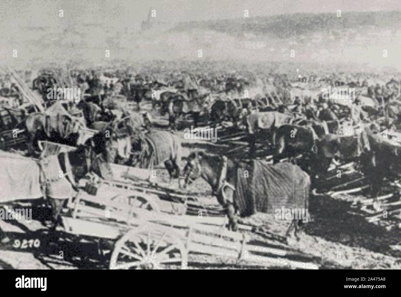 Fellman hi-res stock photography and images - Alamy