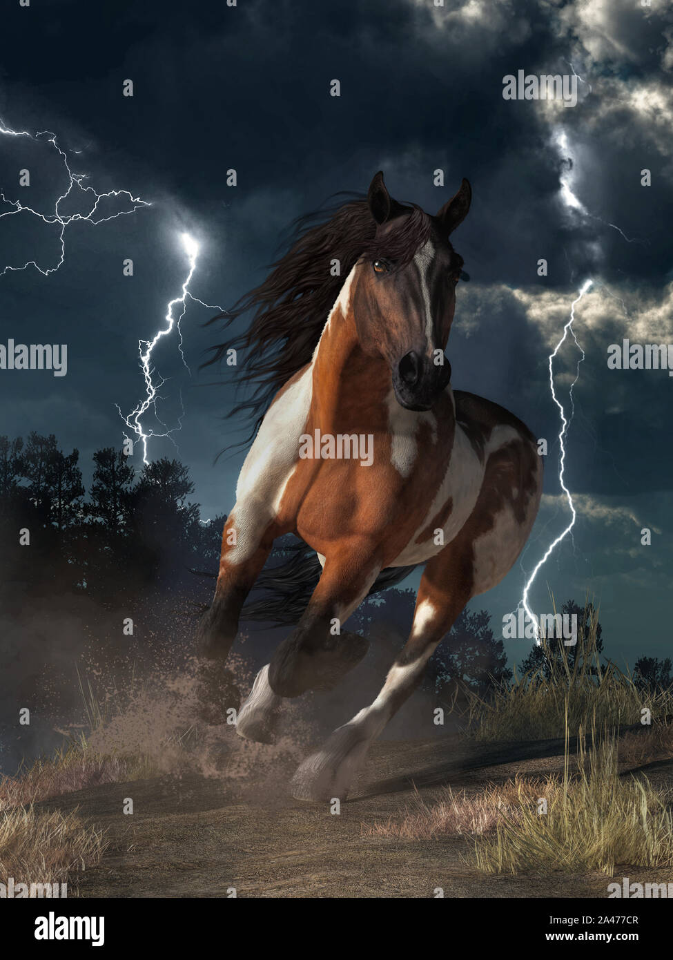 Thunder hoof hi-res stock photography and images - Alamy