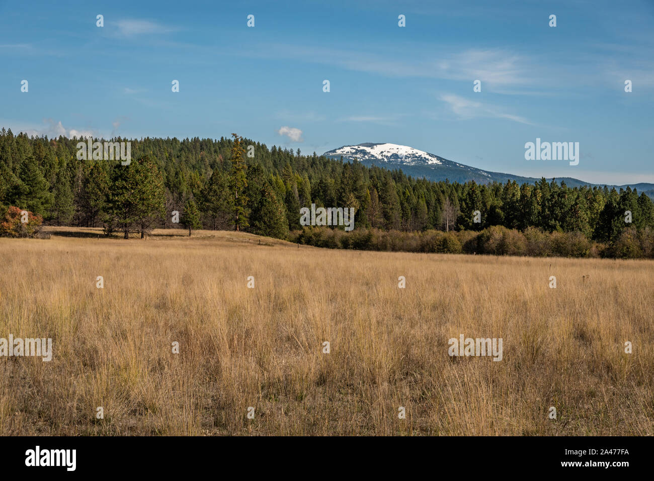 Little pend oreille wildlife refuge hi-res stock photography and images ...