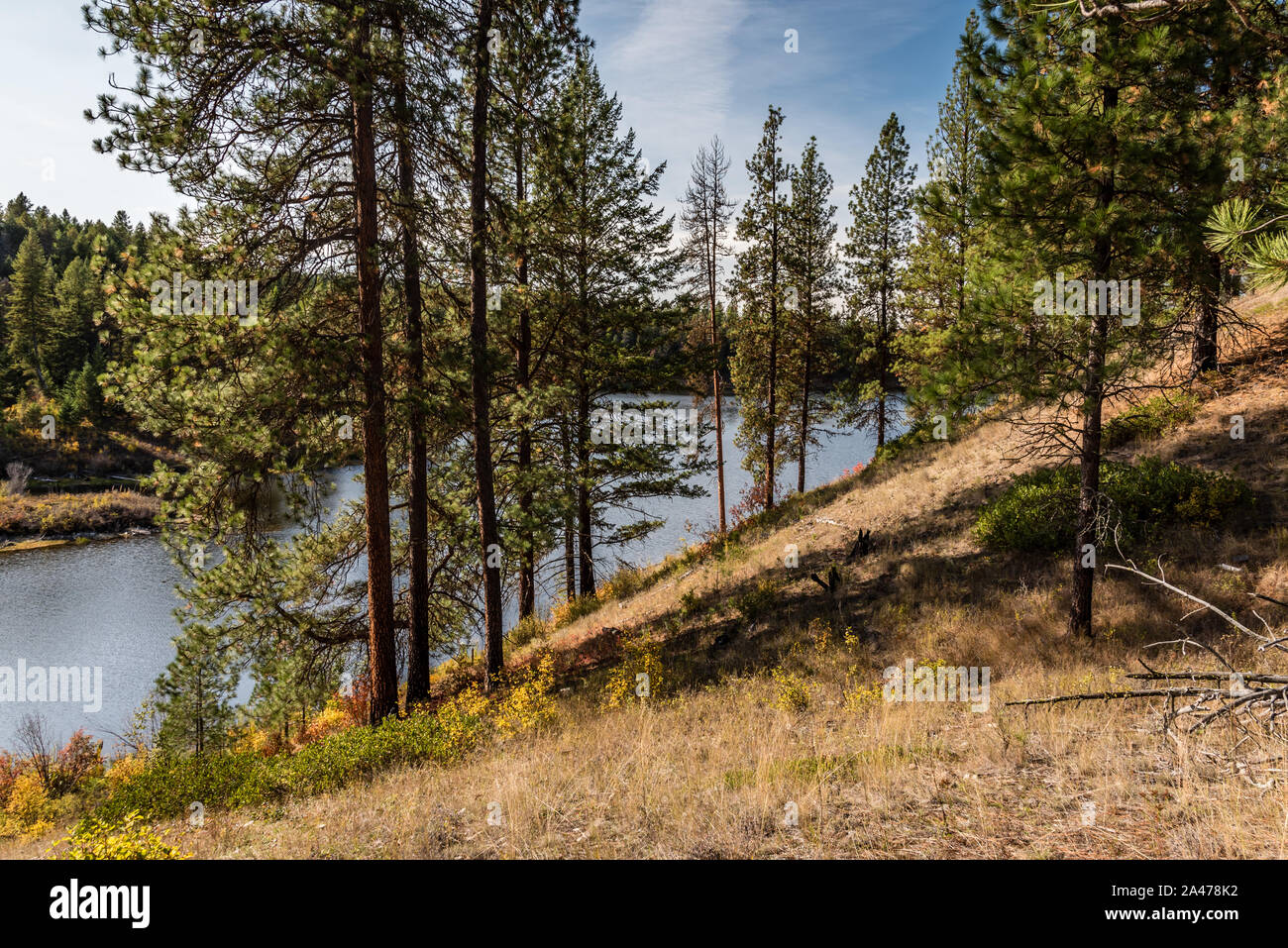 Little pend oreille hi-res stock photography and images - Alamy