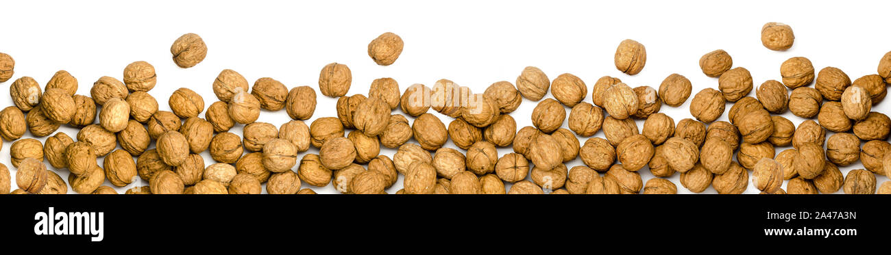 walnuts as border, banner or panorama, isolated on white background ...