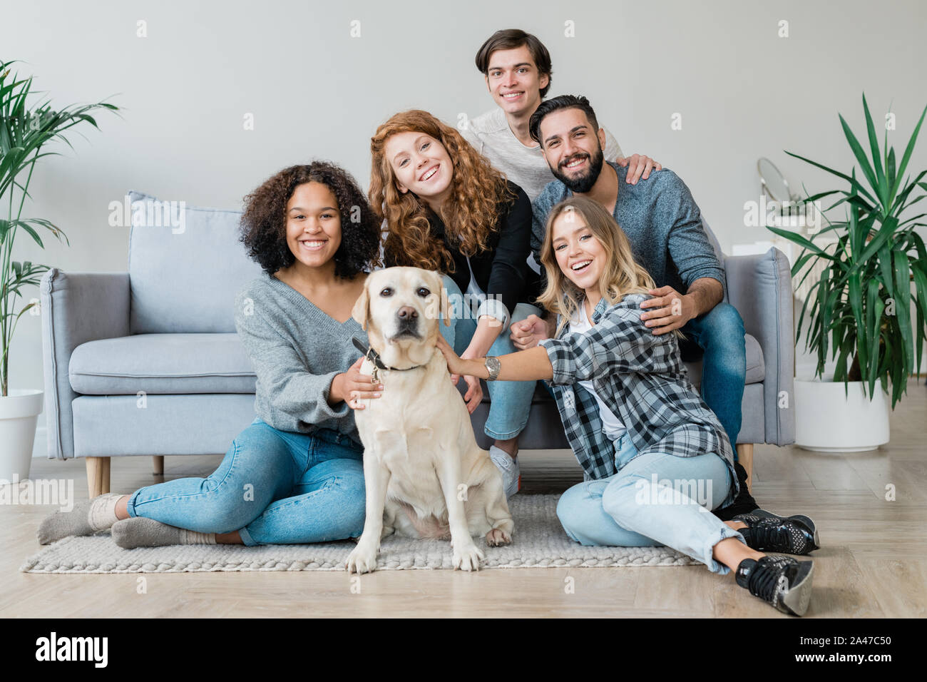 Smiling pets hi-res stock photography and images - Alamy