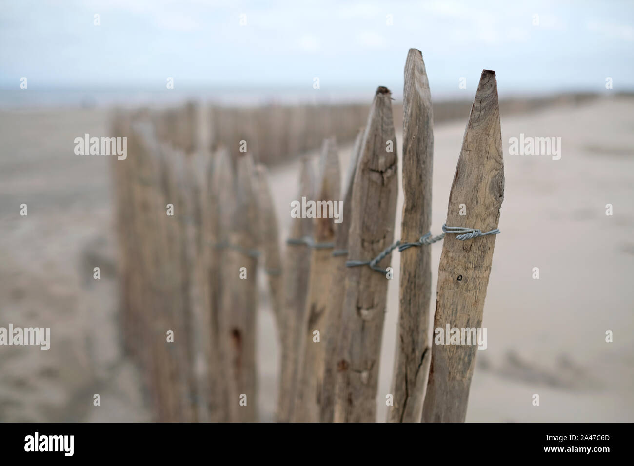 Wooden fence on a dune at the Dutch coast Stock Photo - Alamy