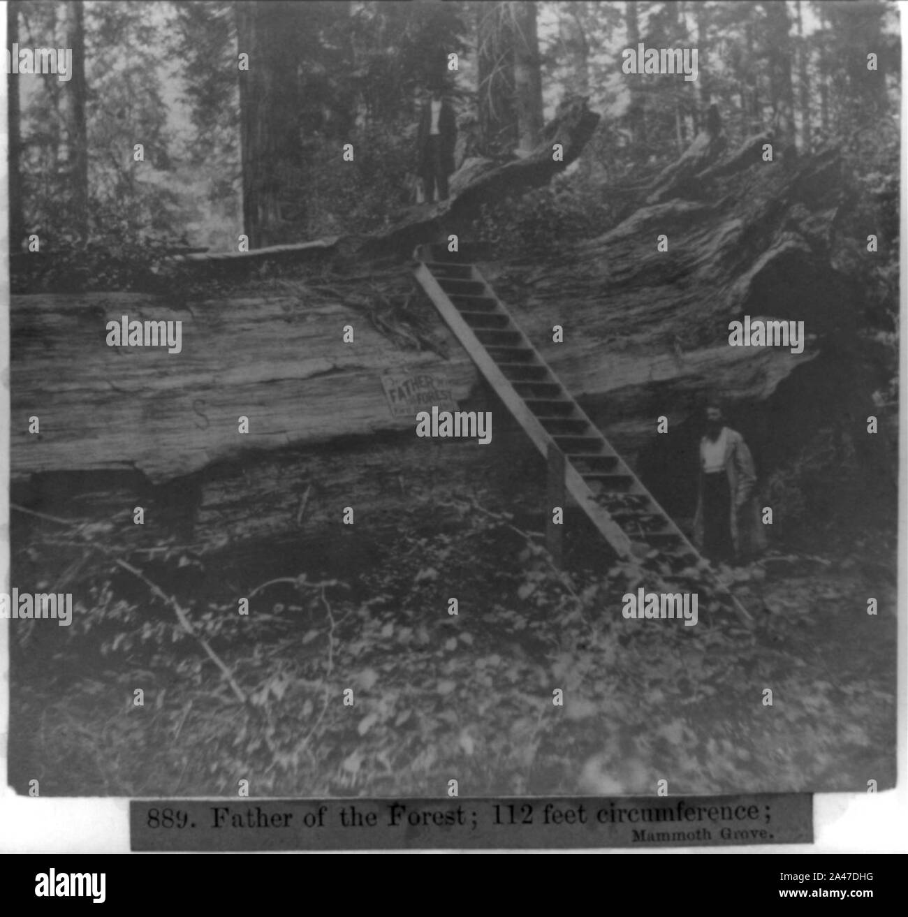 112 feet circumference Black and White Stock Photos & Images - Alamy