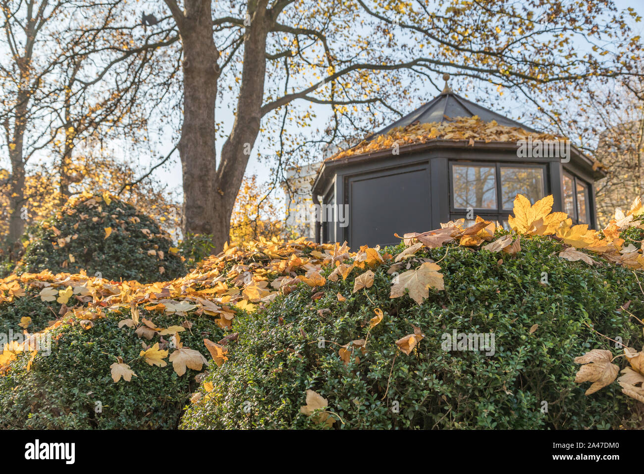 garden house behind box hedge Stock Photo - Alamy