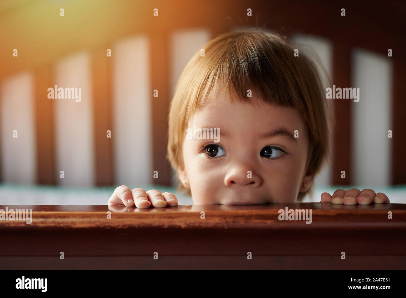 Curious looking baby girl portrait from bed with copy space Stock Photo ...
