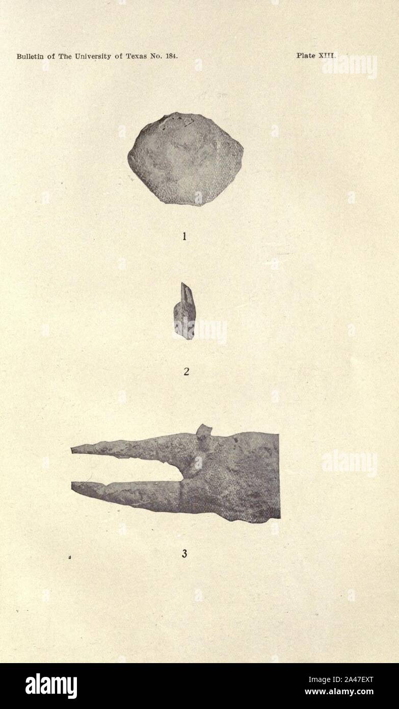 Fauna of the Buda limestone Stock Photo - Alamy