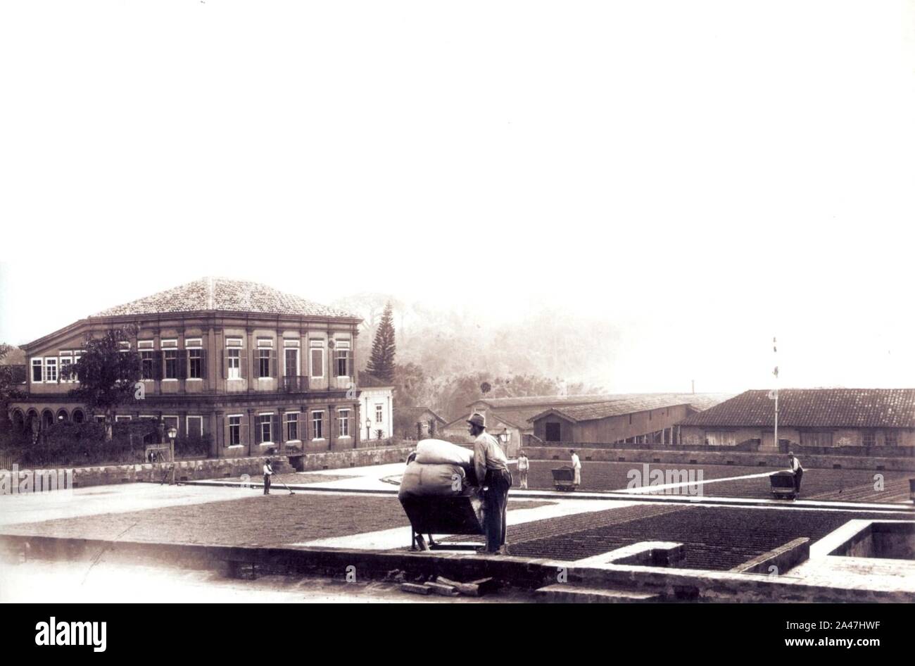 Fazenda Santa Genebra São Paulo 1880 Stock Photo - Alamy