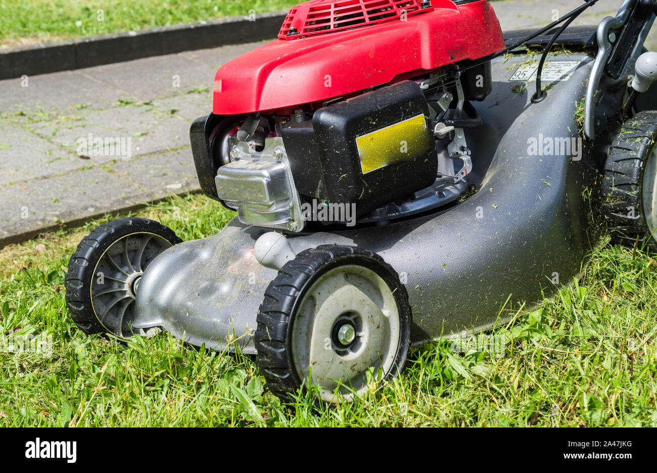 Razor grass hi-res stock photography and images - Alamy