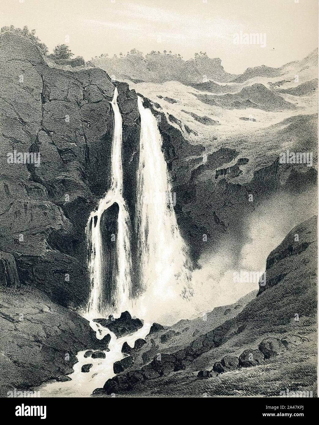 Lyster hi-res stock photography and images - Alamy