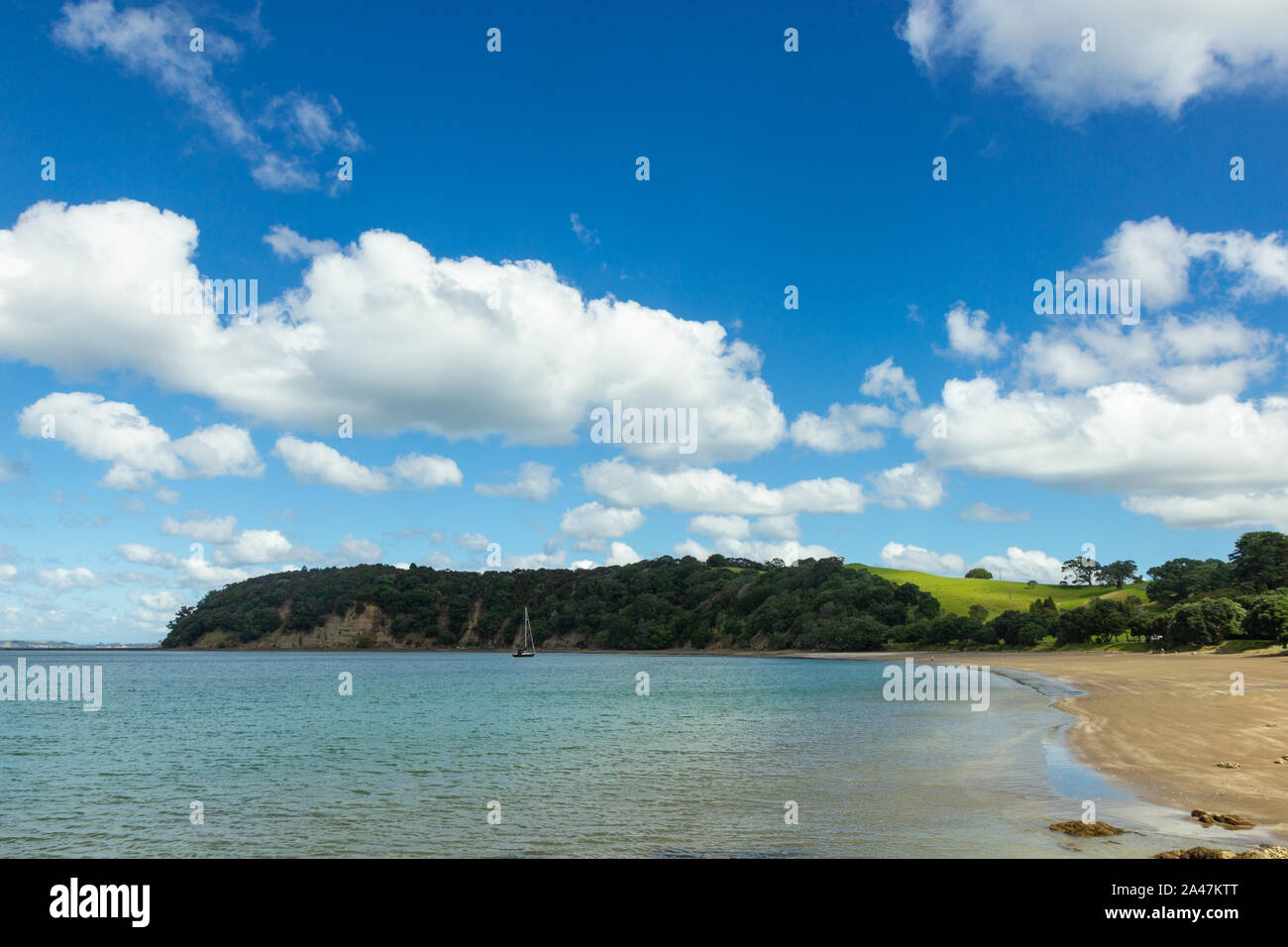 Mahurangi regional park hi-res stock photography and images - Alamy