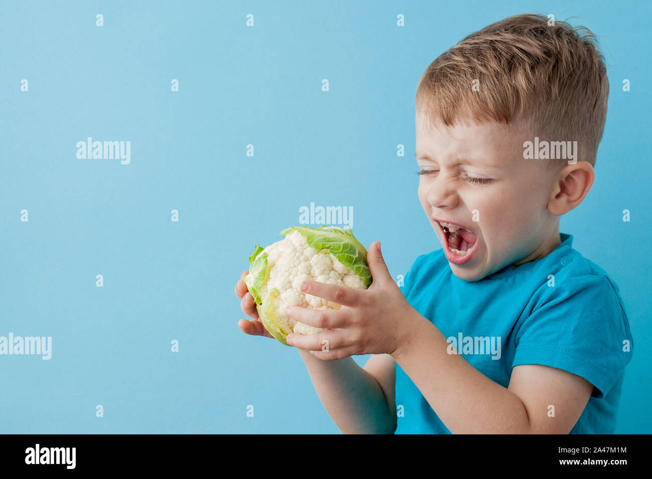 Little Boy Holding Broccoli in his hands on blue background, diet and ...