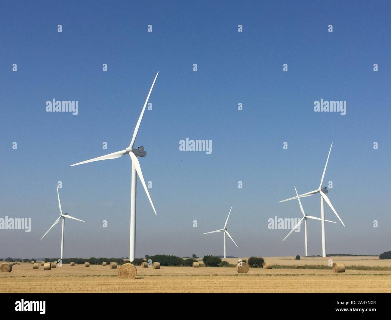 Tall wind turbines and windmills in a countryside wind farm in a rural ...