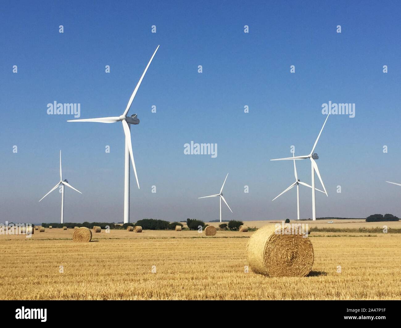 Tall wind turbines and windmills in a countryside wind farm in a rural ...
