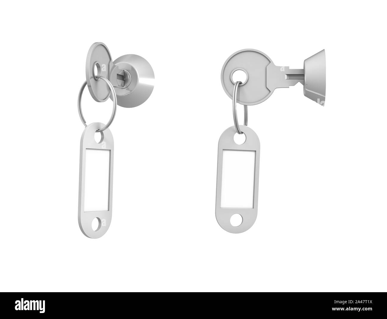 3d rendering of 2 keys with attached blank labels inside their locks on ...