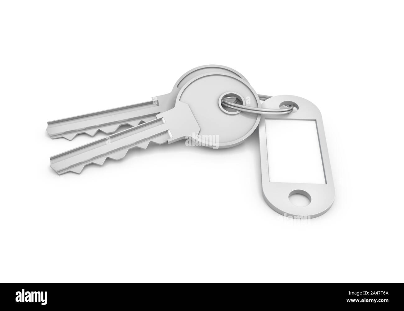 3d rendering of two isolated silver keys on a key ring with a blank ...