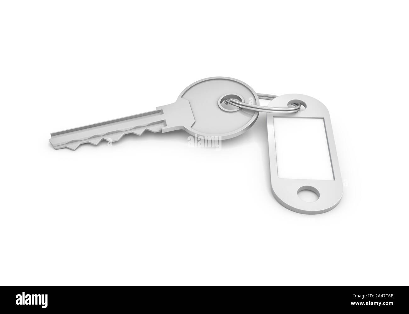 3d rendering of a single silver key with label isolated on white ...